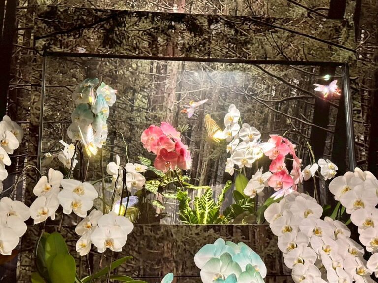 【大阪万博2025】TECH WORLD(テックワールド)パビリオン体験レポ | “台湾”の想いが詰まった魅力的な展示 - BeeTrip【びーとりっぷ】