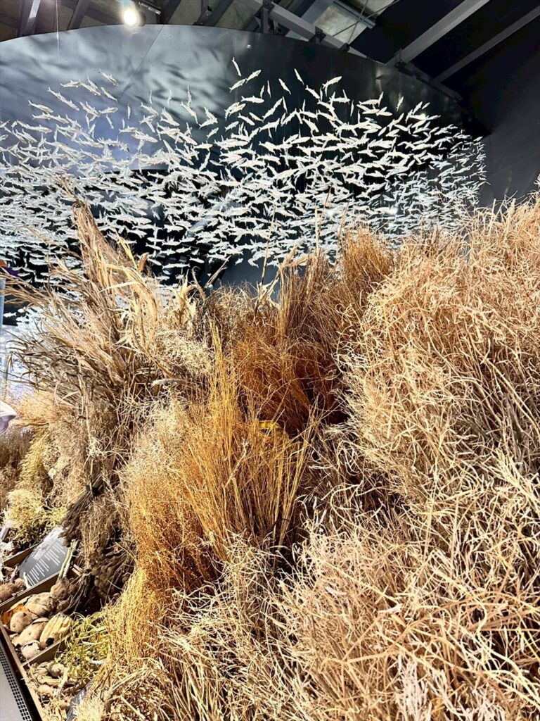 【大阪万博2025】EARTHMART(アースマート)パビリオン体験レポ｜万博梅干しも登場！展示内容・所要時間・感想まとめ - BeeTrip【びーとりっぷ】